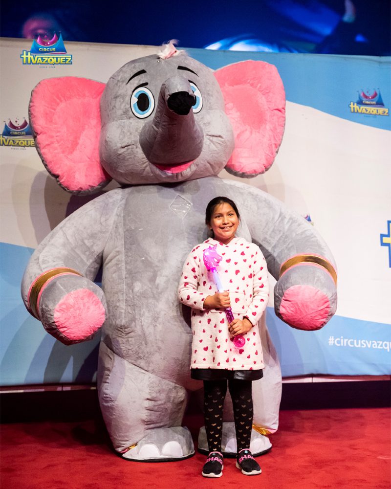 Boston's Favorite Circus makes Long-Awaited Homecoming under Big Top ...